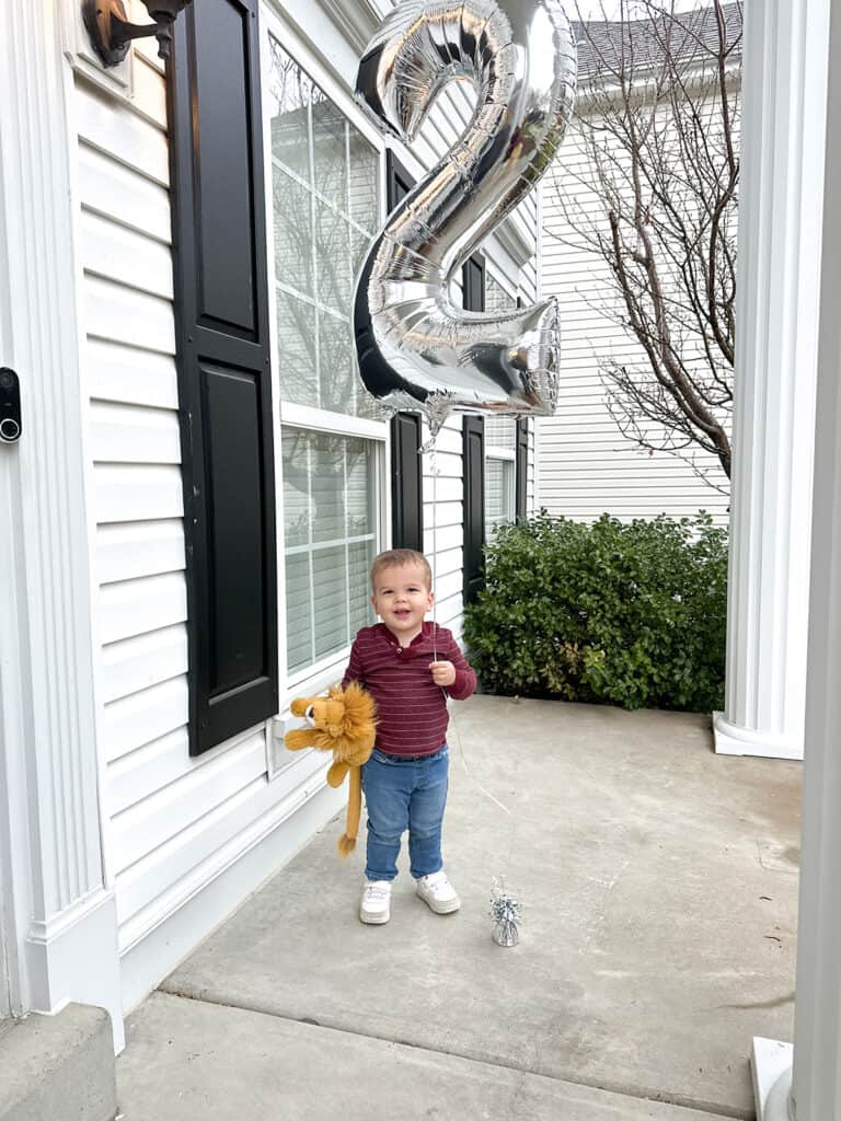 Two Wild Second Birthday Party - Alex Marie Jordan